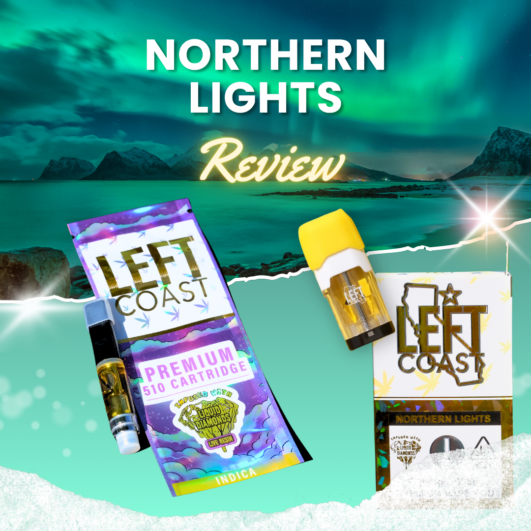 Left Coast Northern Lights Strain Review: The Dreamy Indica With Deep ...